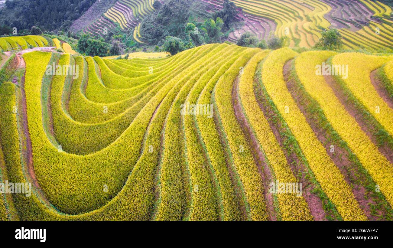 Mu cang chai tourist place hi-res stock photography and images - Alamy