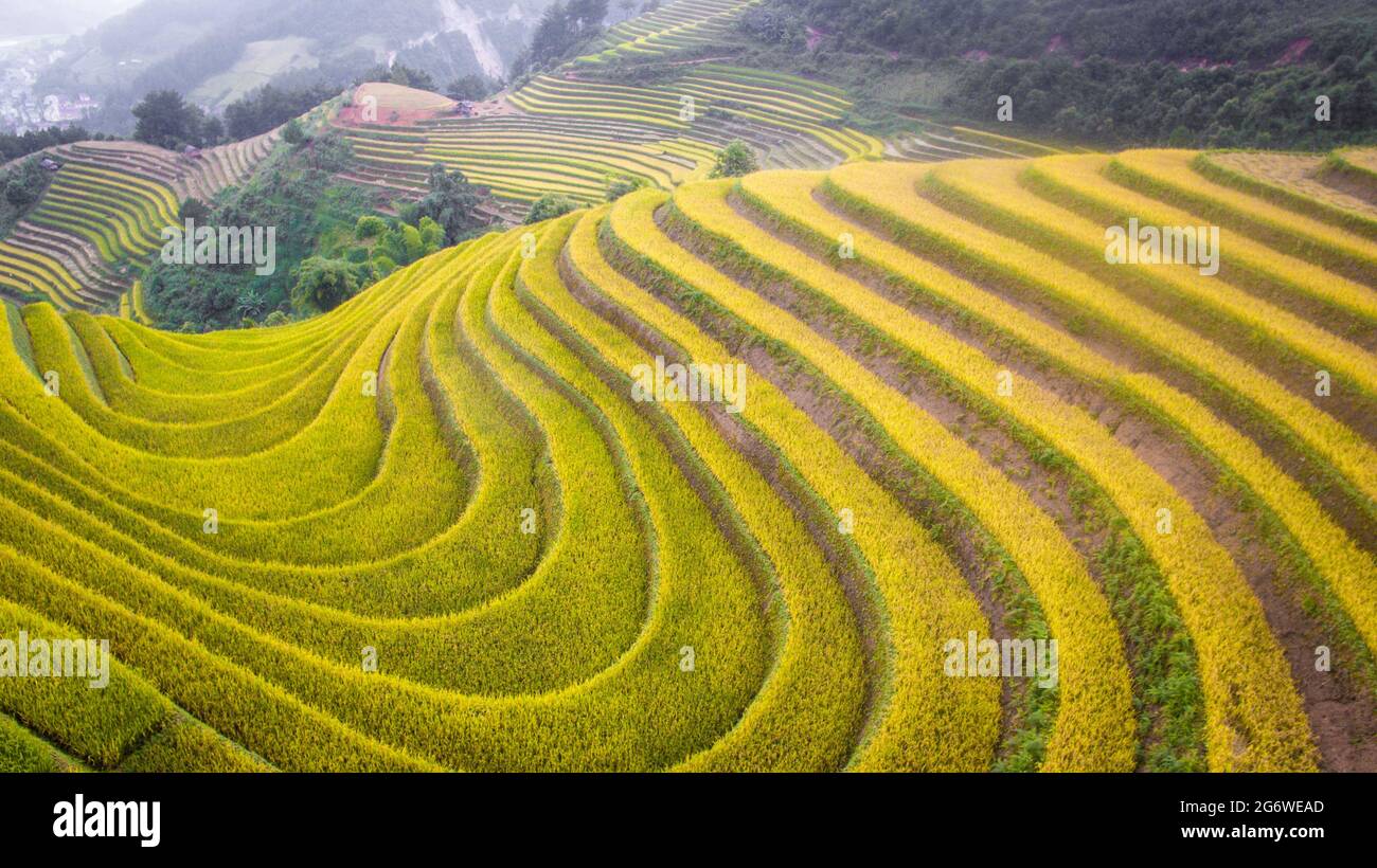 Mu chang chai hi-res stock photography and images - Alamy