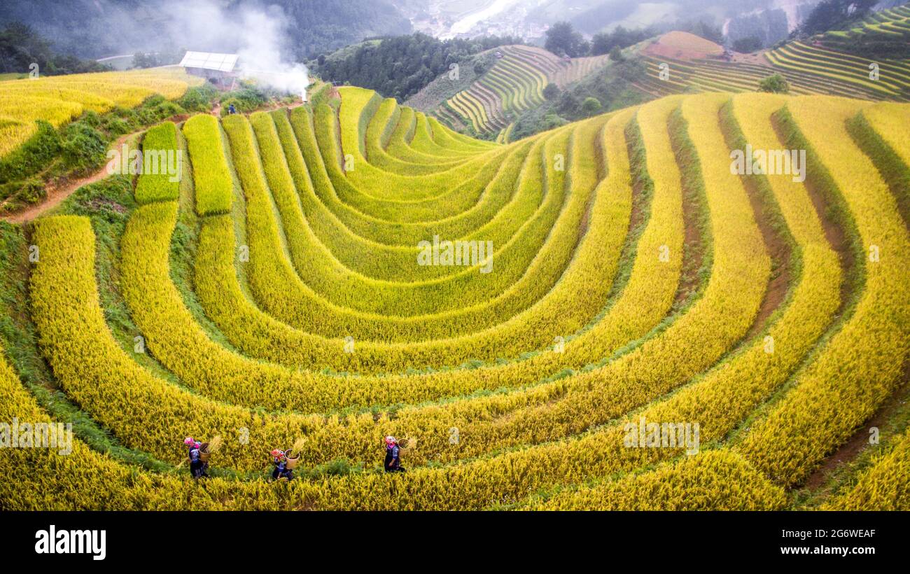 Mu cang chai tourist place hi-res stock photography and images - Alamy