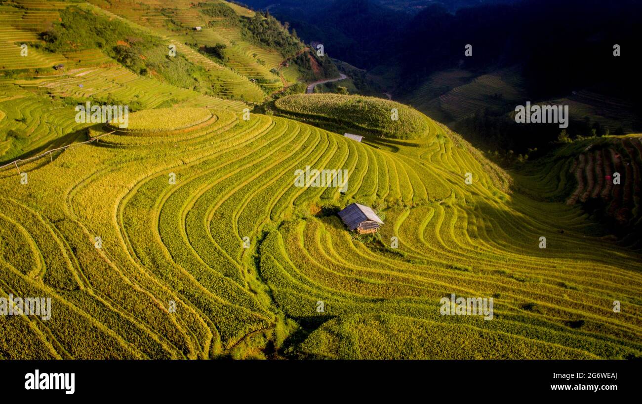 Mu chang chai hi-res stock photography and images - Alamy