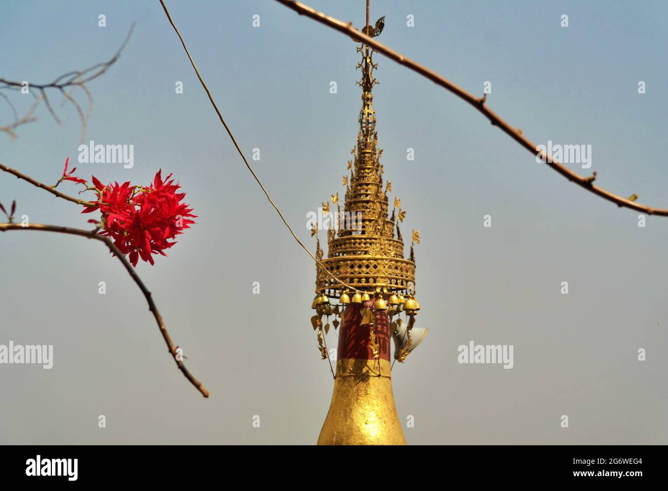 Red flower spire hi-res stock photography and images - Alamy