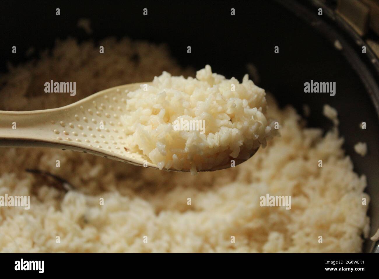 Boiled sticky rice hi-res stock photography and images - Alamy