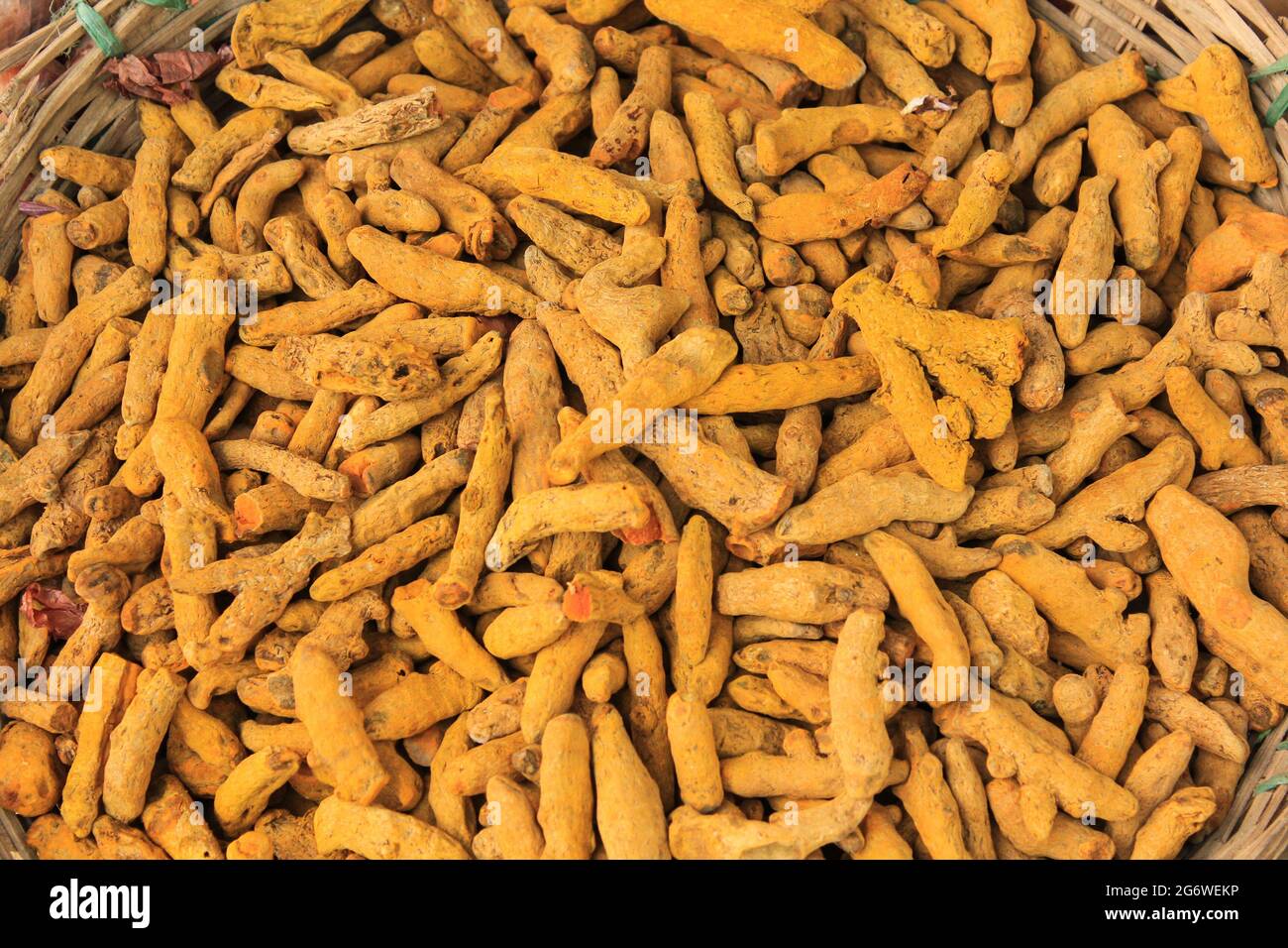 Fresh processed turmeric masala, top view,new turmeric stock image as ...