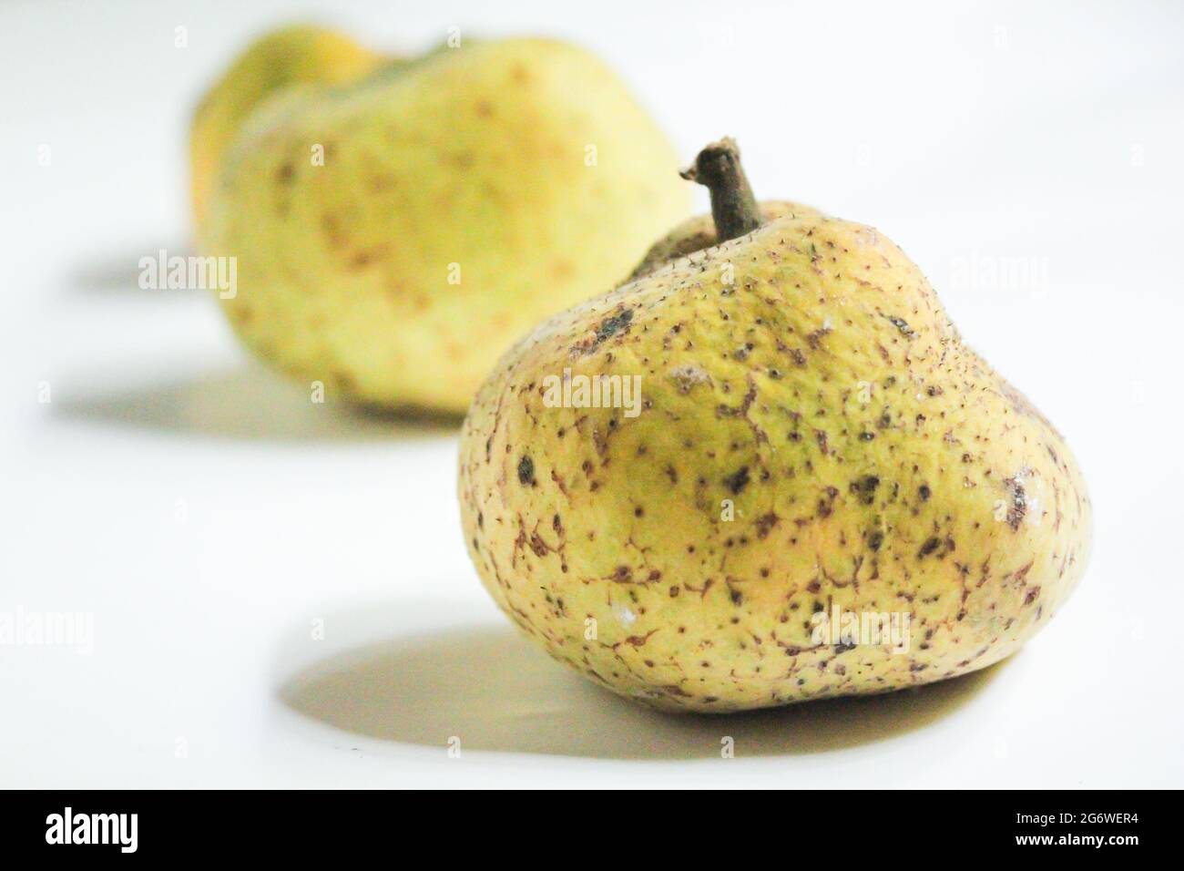 Artocarpus lacucha fruit isolated on surface, tropical fruit Stock ...