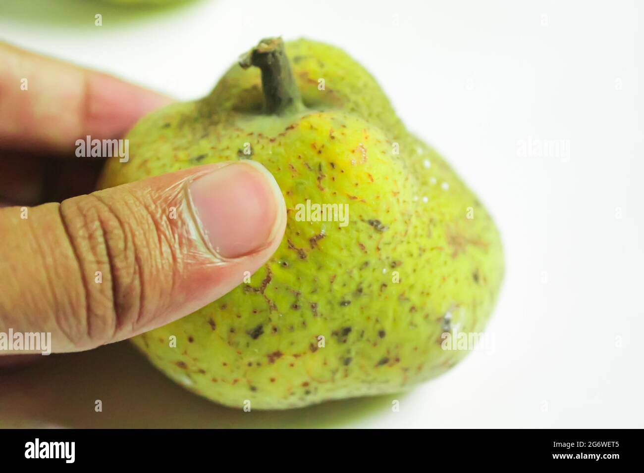 Artocarpus lacucha fruit isolated on surface, tropical fruit Stock ...