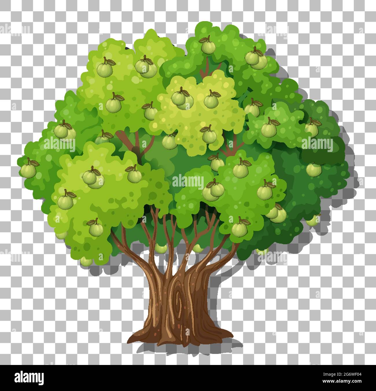 Guava tree on transparent background illustration Stock Vector Image ...