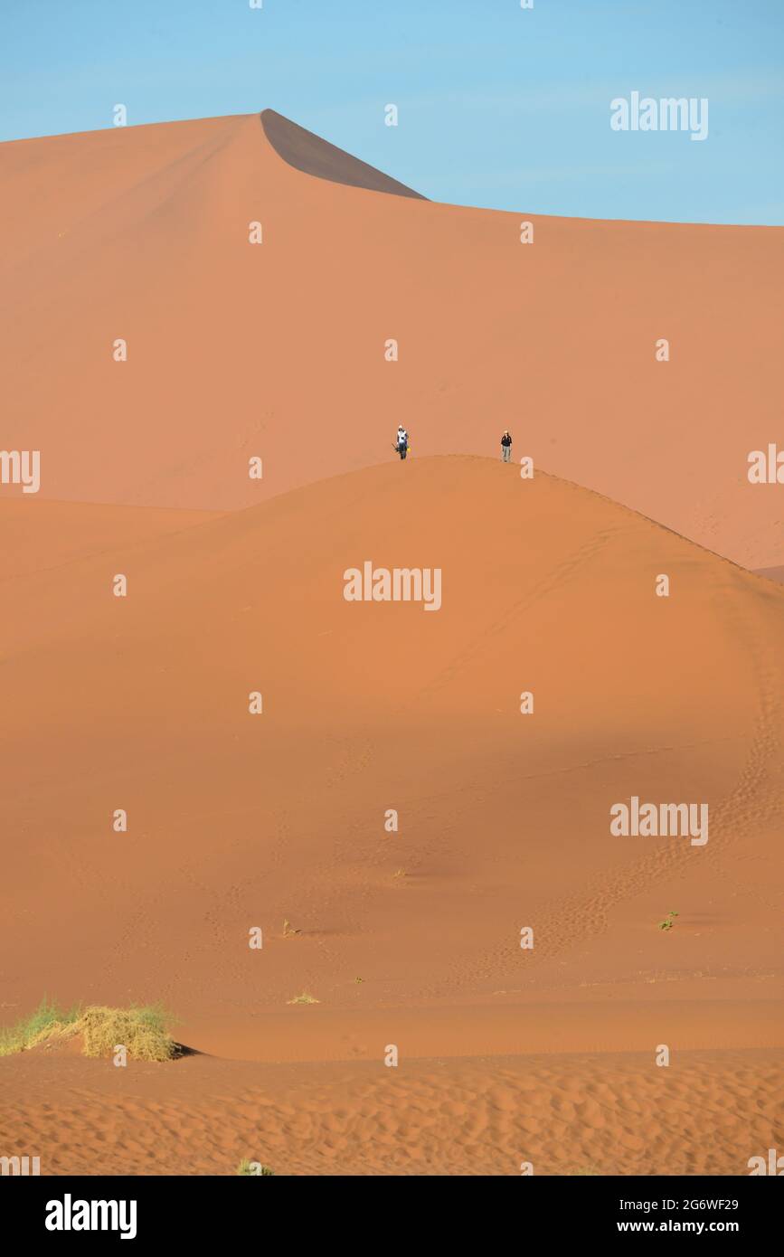 Dunes de sable du désert de namib hi-res stock photography and images ...