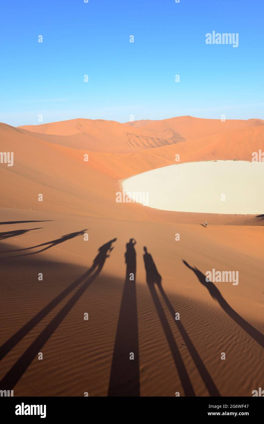 Dead trees at the namib desert in namibia hi-res stock photography and ...
