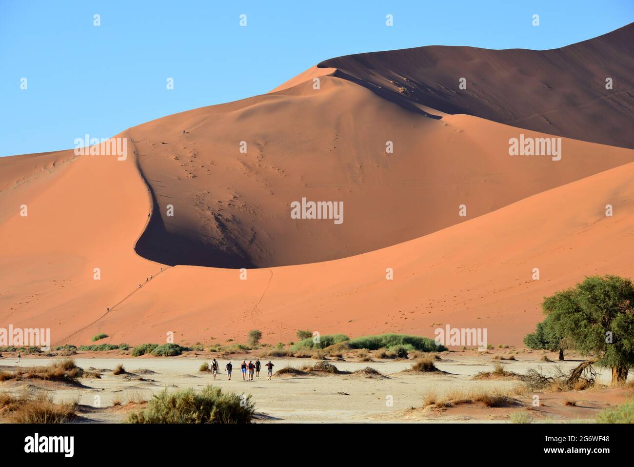 NAMIBIA. NAMIB DESERT. THE DUNES OF SOSSUSVLEI ARE AMONG THE TALLEST IN ...