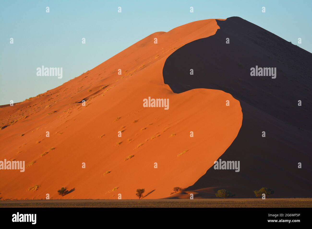 NAMIBIA. NAMIB DESERT. THE DUNES OF SOSSUSVLEI ARE AMONG THE TALLEST IN ...