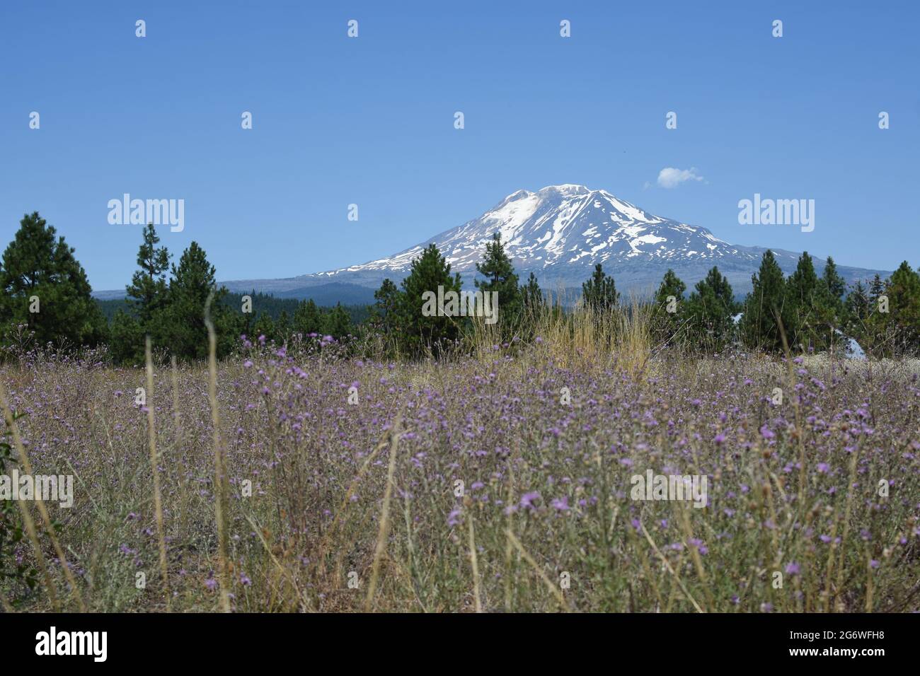 Mount adams lake hi-res stock photography and images - Alamy