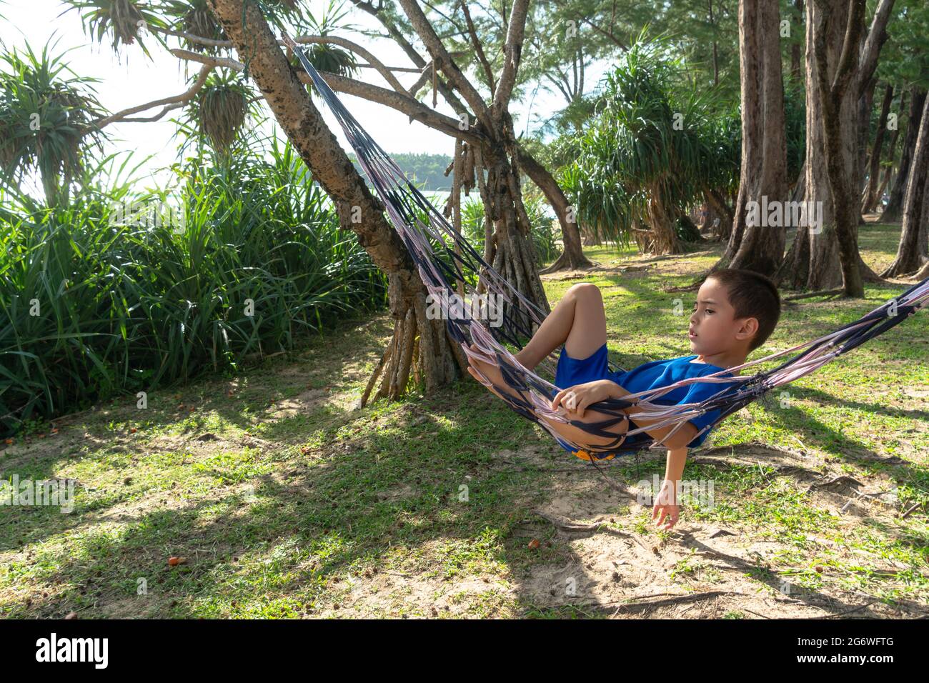 Boy sleeping under tree hi-res stock photography and images - Alamy