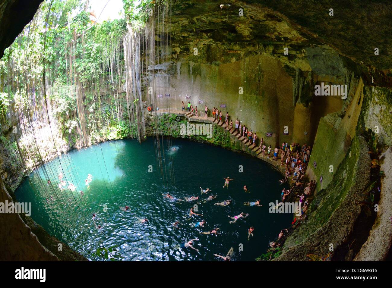 MEXICO. STATE OF YUCATAN. THE CENOTE OF ZACI IS ONE OF THE DEEPEST AND ...