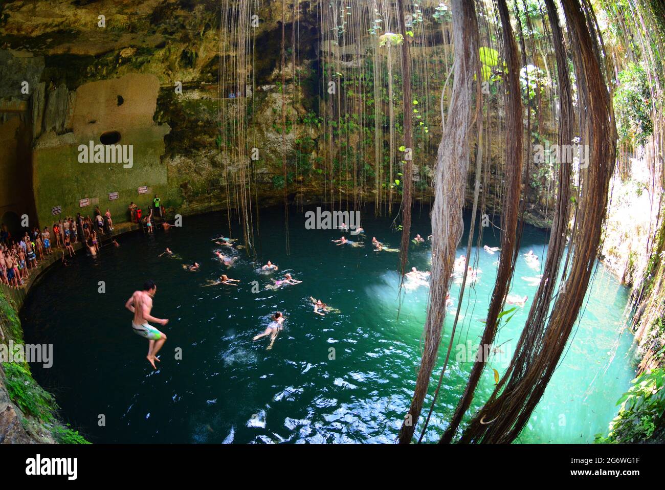 MEXICO. STATE OF YUCATAN. THE CENOTE OF ZACI IS ONE OF THE DEEPEST AND ...