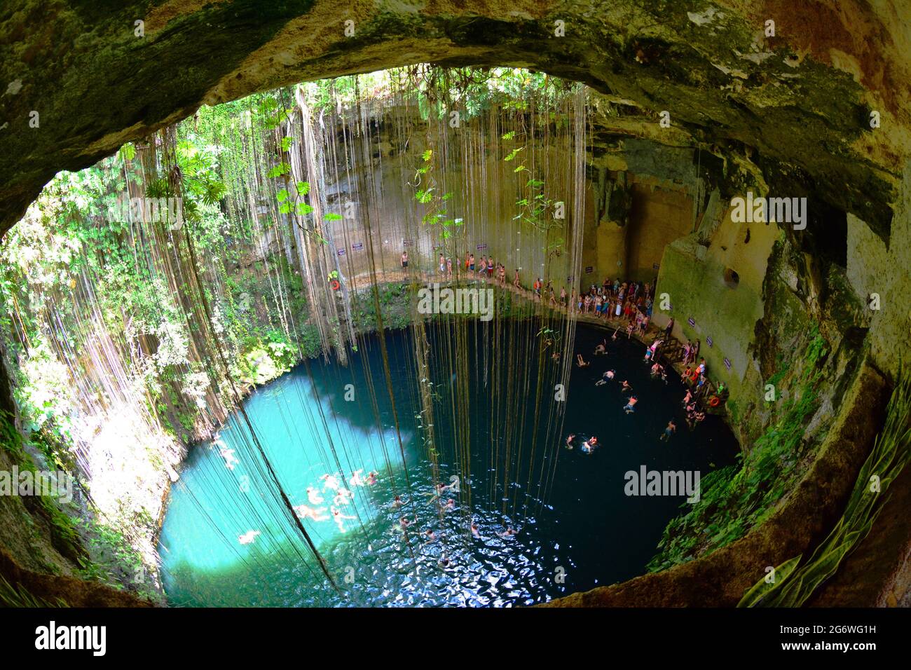 MEXICO. STATE OF YUCATAN. THE CENOTE OF ZACI IS ONE OF THE DEEPEST AND ...