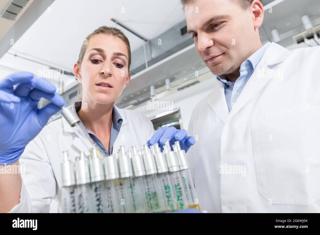 Scientist arrange samples for test in research lab Stock Photo - Alamy