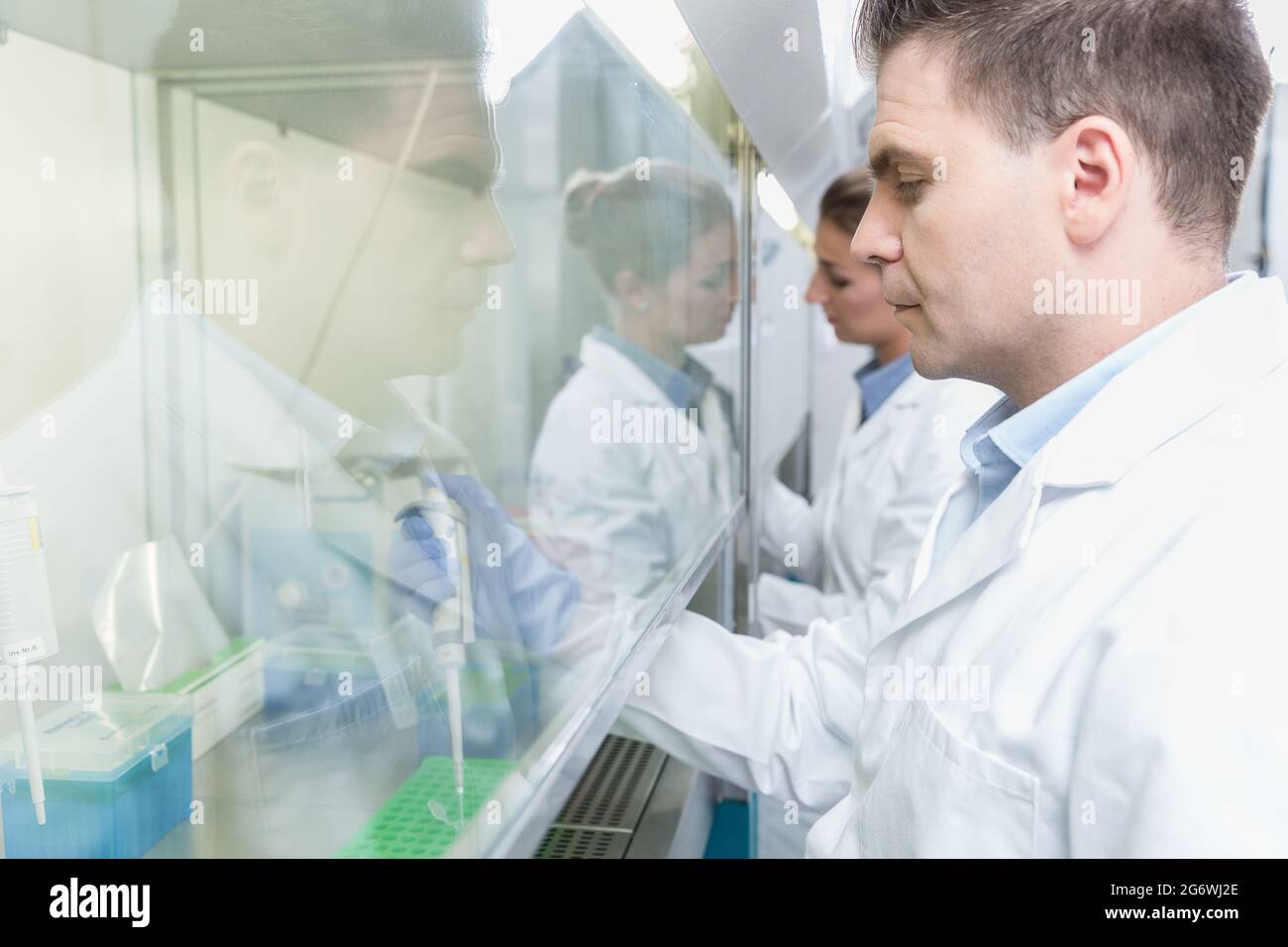 Researchers in science lab preparing samples Stock Photo - Alamy