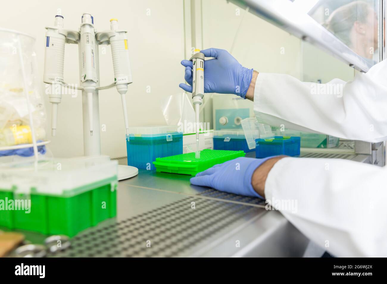 Research operator working with pipette in science lab Stock Photo - Alamy