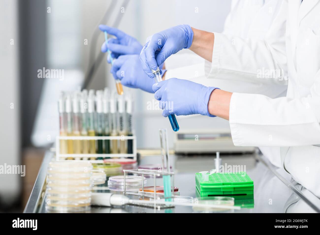 Researchers preparing samples for experiments in laboratory Stock Photo ...