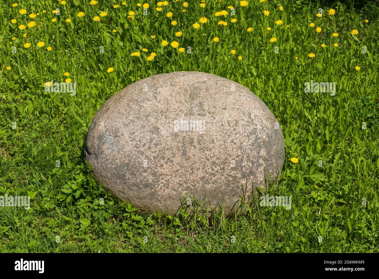 Large oval hi-res stock photography and images - Alamy