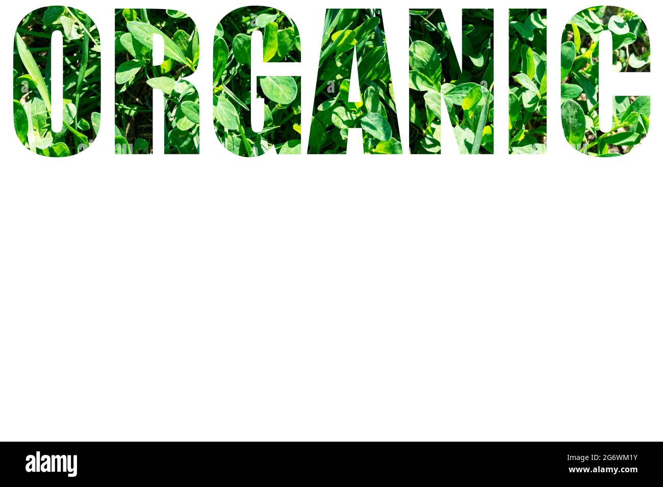 The word ORGANIC from green grass isolated on white background ...