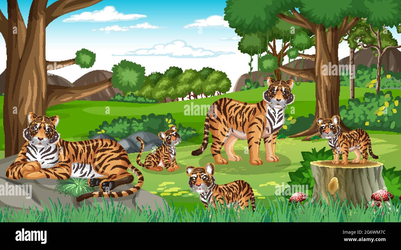 Forest or rainforest scene with tiger family illustration Stock Vector Image & Art - Alamy