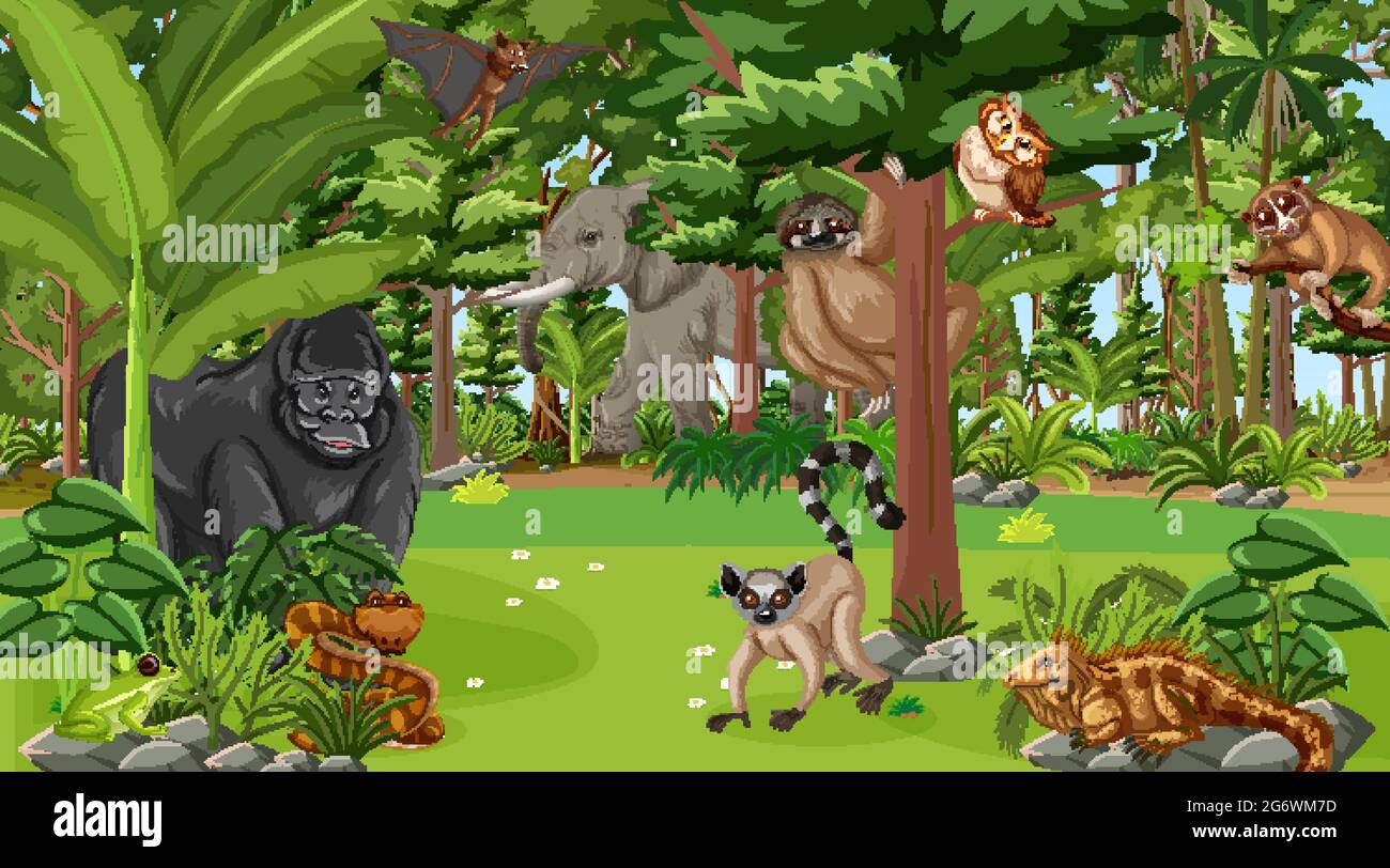 Forest at daytime scene with many different wild animals illustration ...