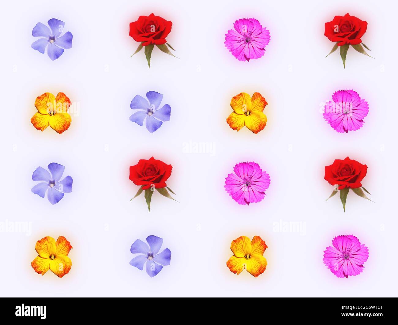Decorative floral pattern with yellow, red, blue and pink flowers on ...