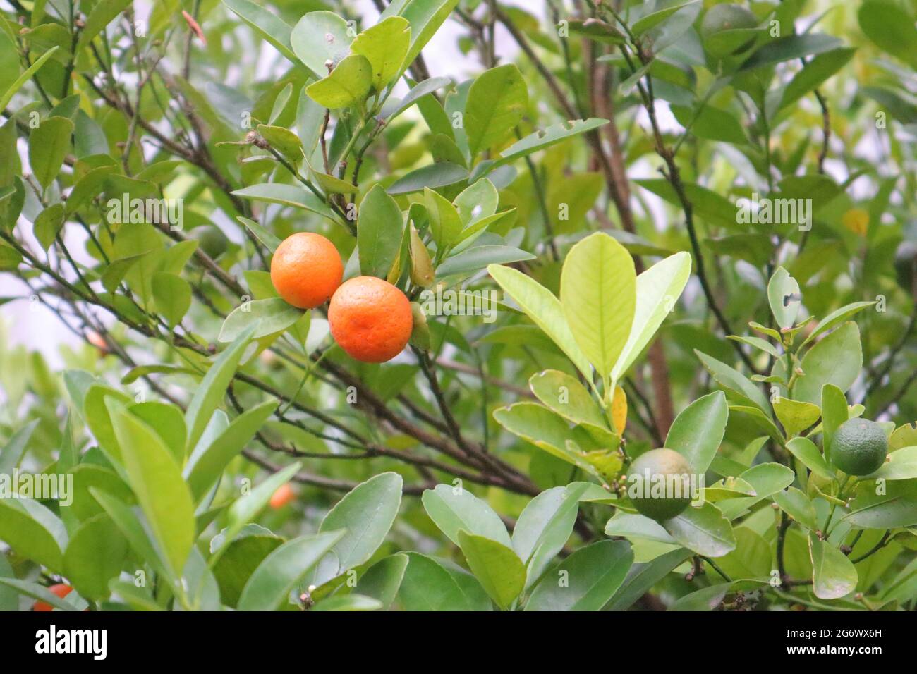 Close system hi-res stock photography and images - Alamy