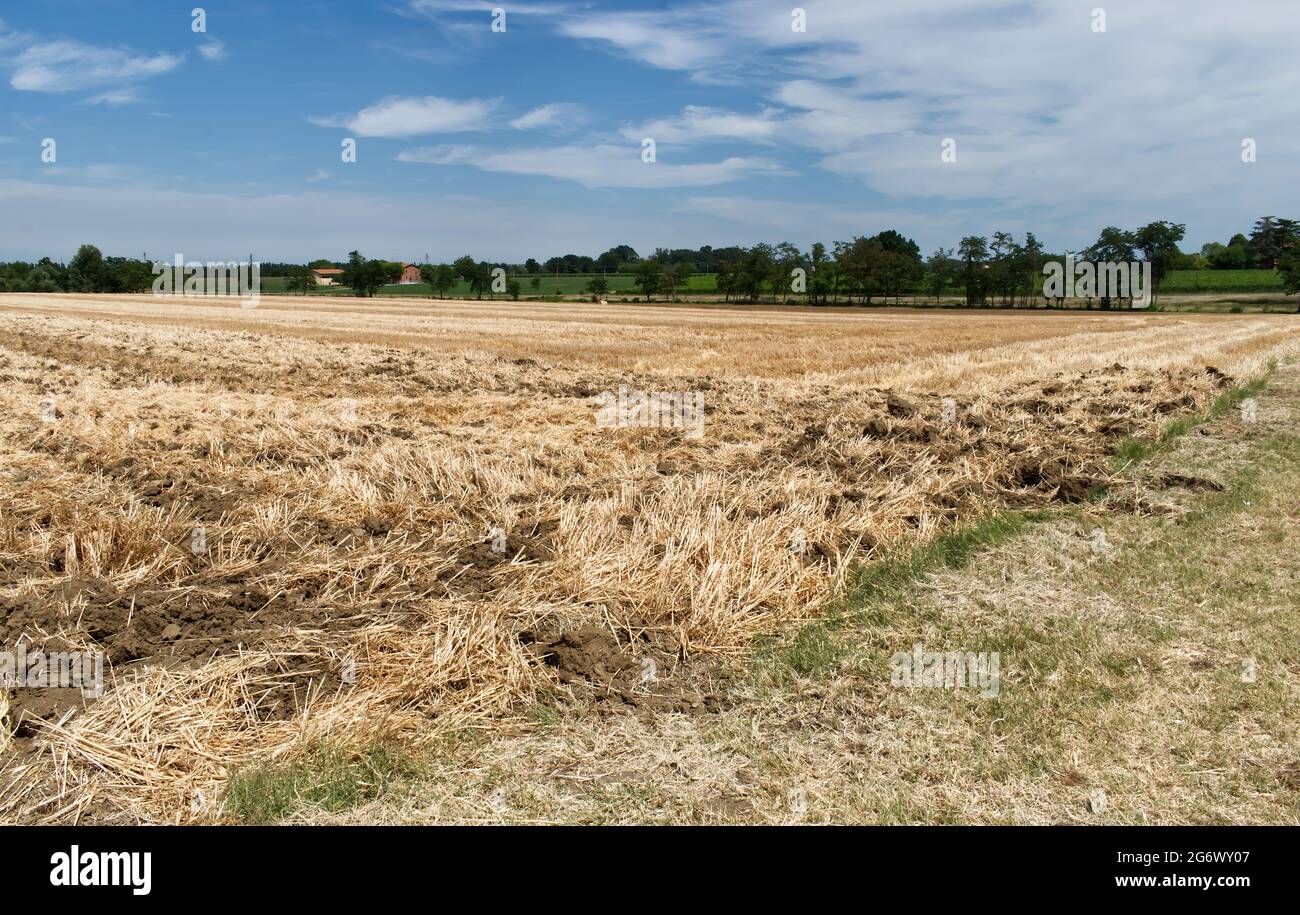 Italy wheat field after harvest hi-res stock photography and images - Alamy