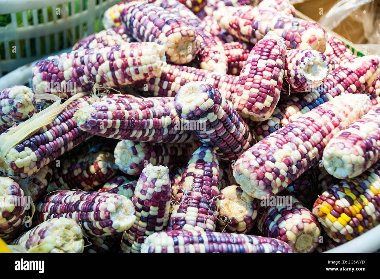 Shanghai’s former french concession hi-res stock photography and images ...