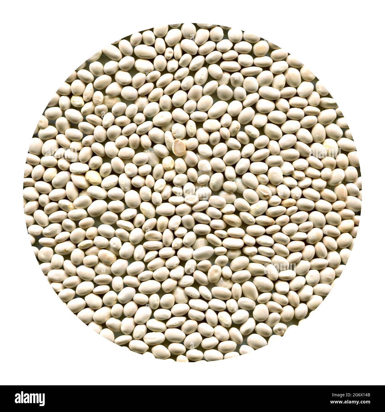 Organic healthy and delicious dried beans, white beans texture ...