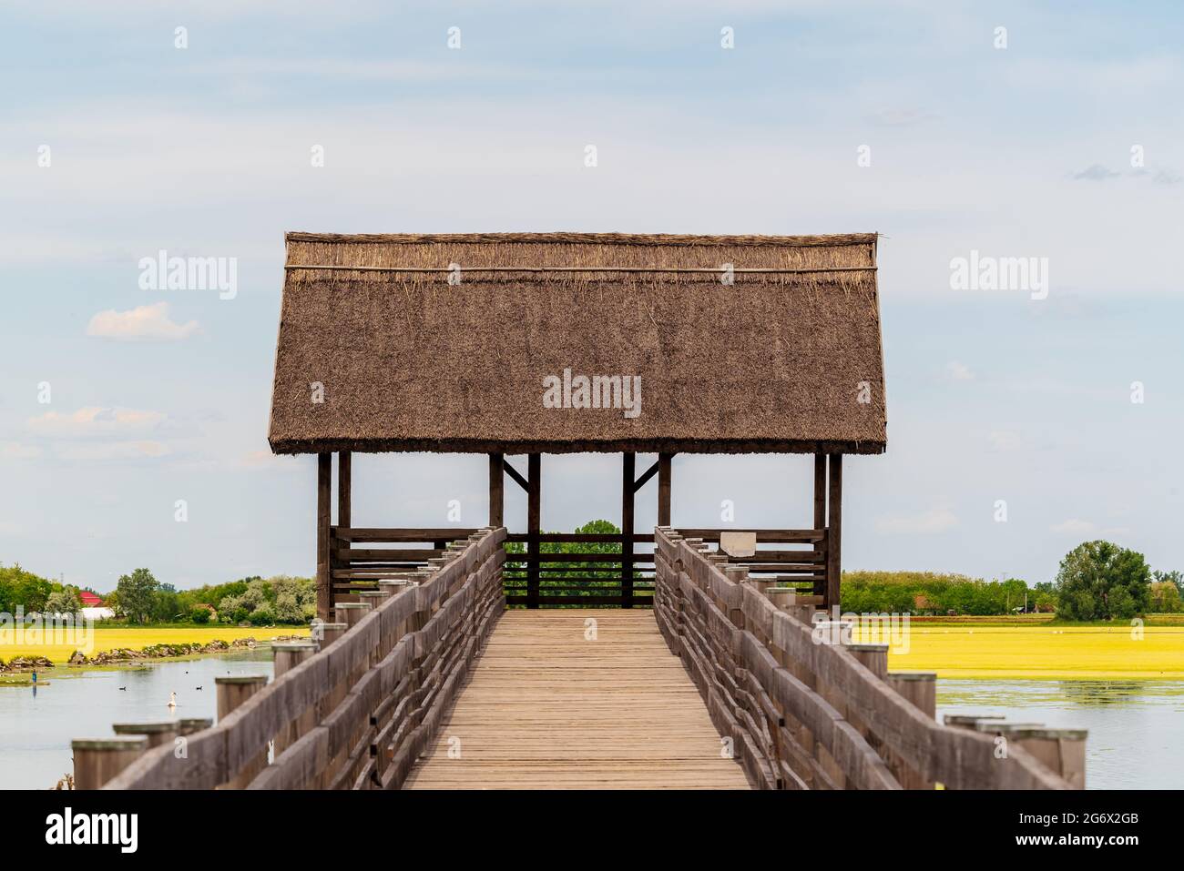 Big hungarian lowland hi-res stock photography and images - Alamy