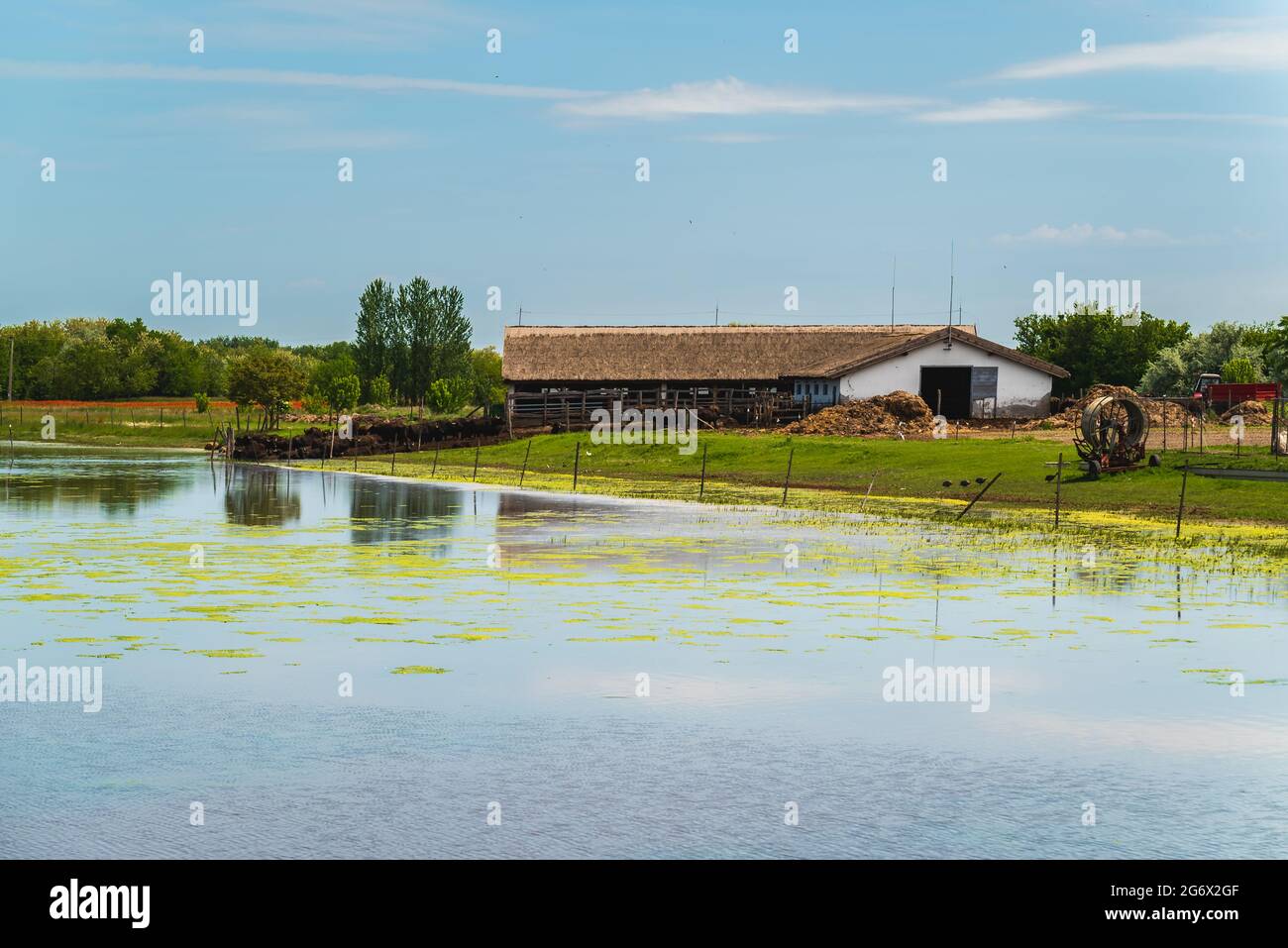 Big hungarian lowland hi-res stock photography and images - Alamy