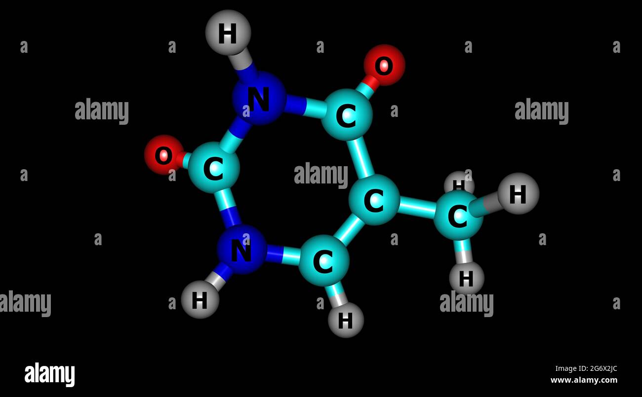 Methyl Group