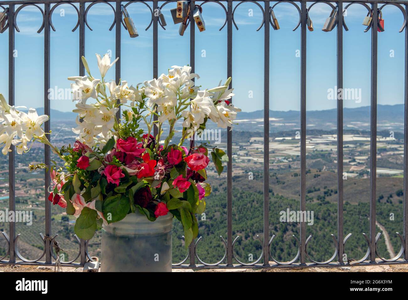 Balustrade with a pot of lilies (lilium candidum) and roses (chimensis ...