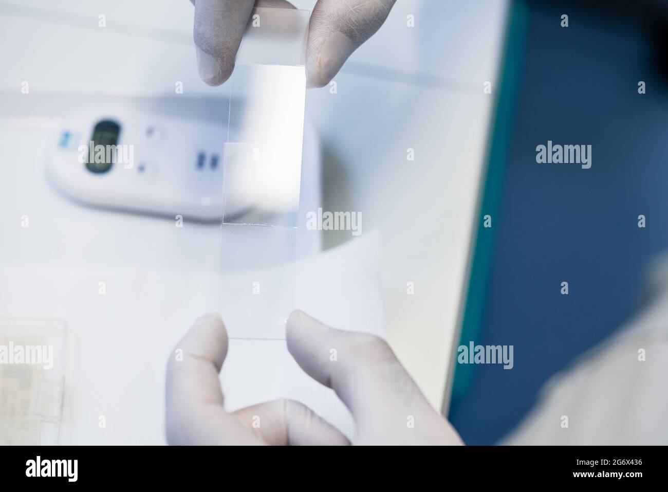 Lab assistant preparing microscope slide for scrutiny in laboratory ...