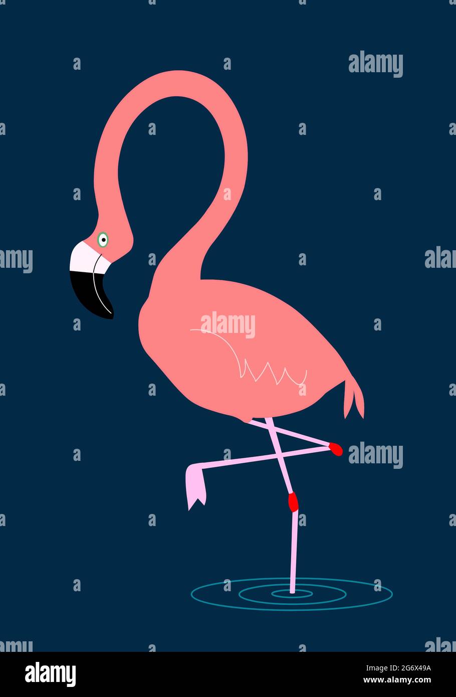 Flamingo standing on one leg, bird illustration Stock Photo - Alamy