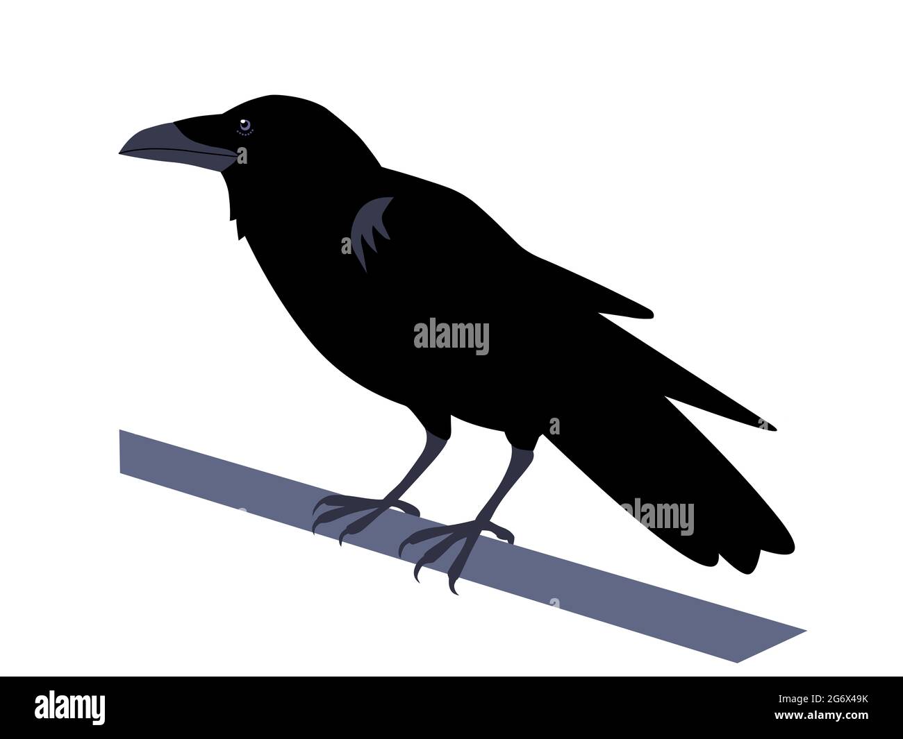 Raven bird on branch Cut Out Stock Images & Pictures - Alamy
