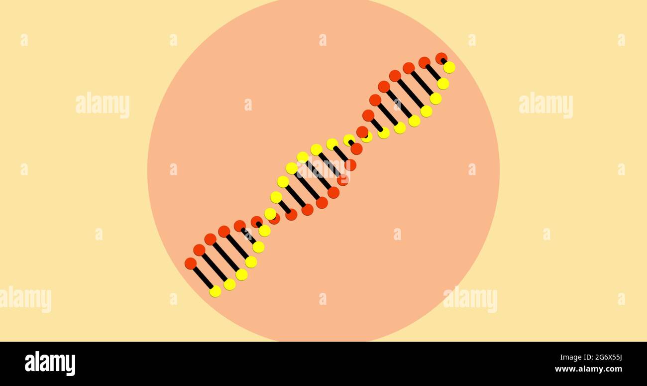 Image of a digital 3d red, yellow and black double helix DNA Stock ...