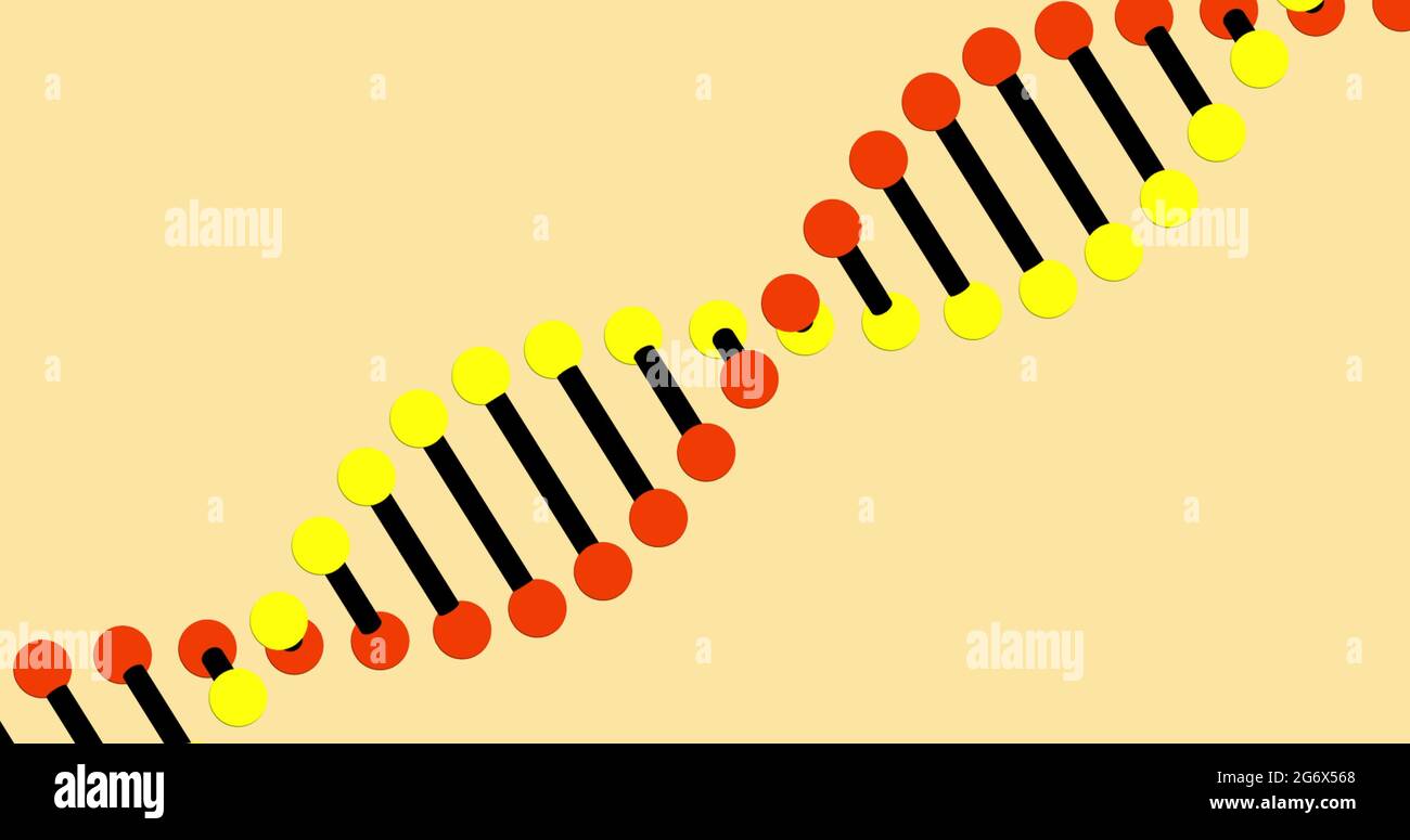 Image of a digital 3d red, yellow and black double helix DNA Stock ...