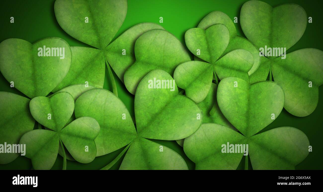 Image of green shamrocks 4k Stock Photo - Alamy