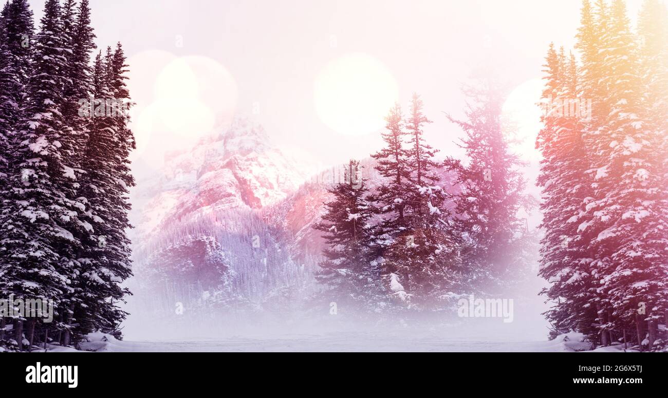 Image of landscape with winter scenery and fir tree forest covered in ...