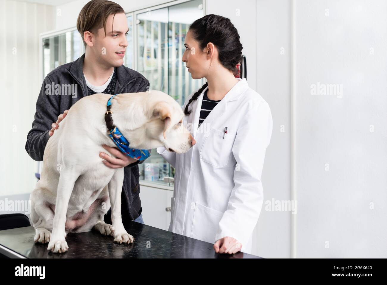 Talking vet hi-res stock photography and images - Alamy