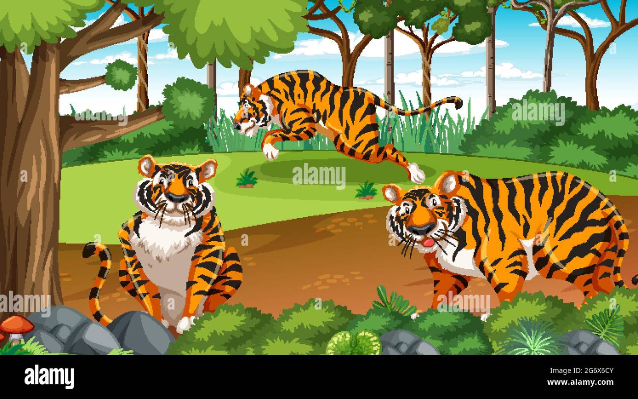 Forest or rainforest scene with tiger family illustration Stock Vector Image & Art - Alamy