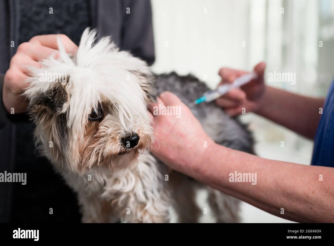Giving injection hi-res stock photography and images - Alamy