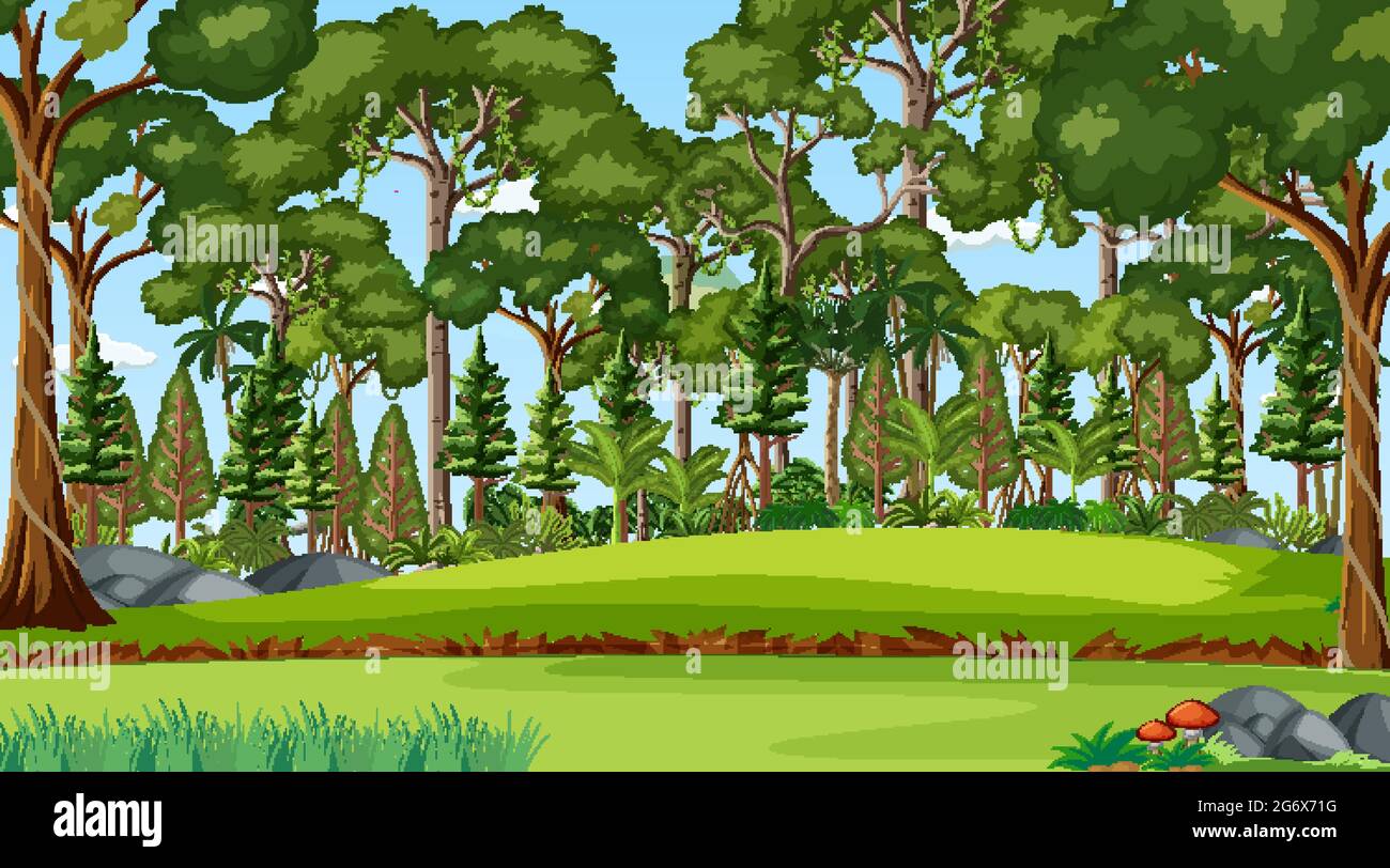 Forest scene with various forest trees illustration Stock Vector Image ...