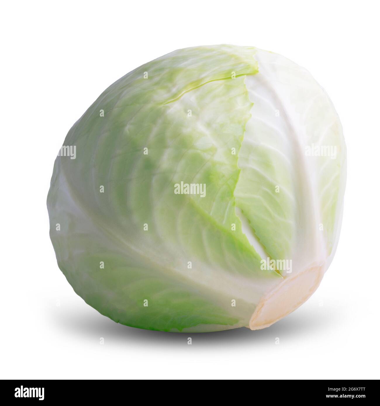 One whole cabbage vegetable isolated on white background. Macro very ...