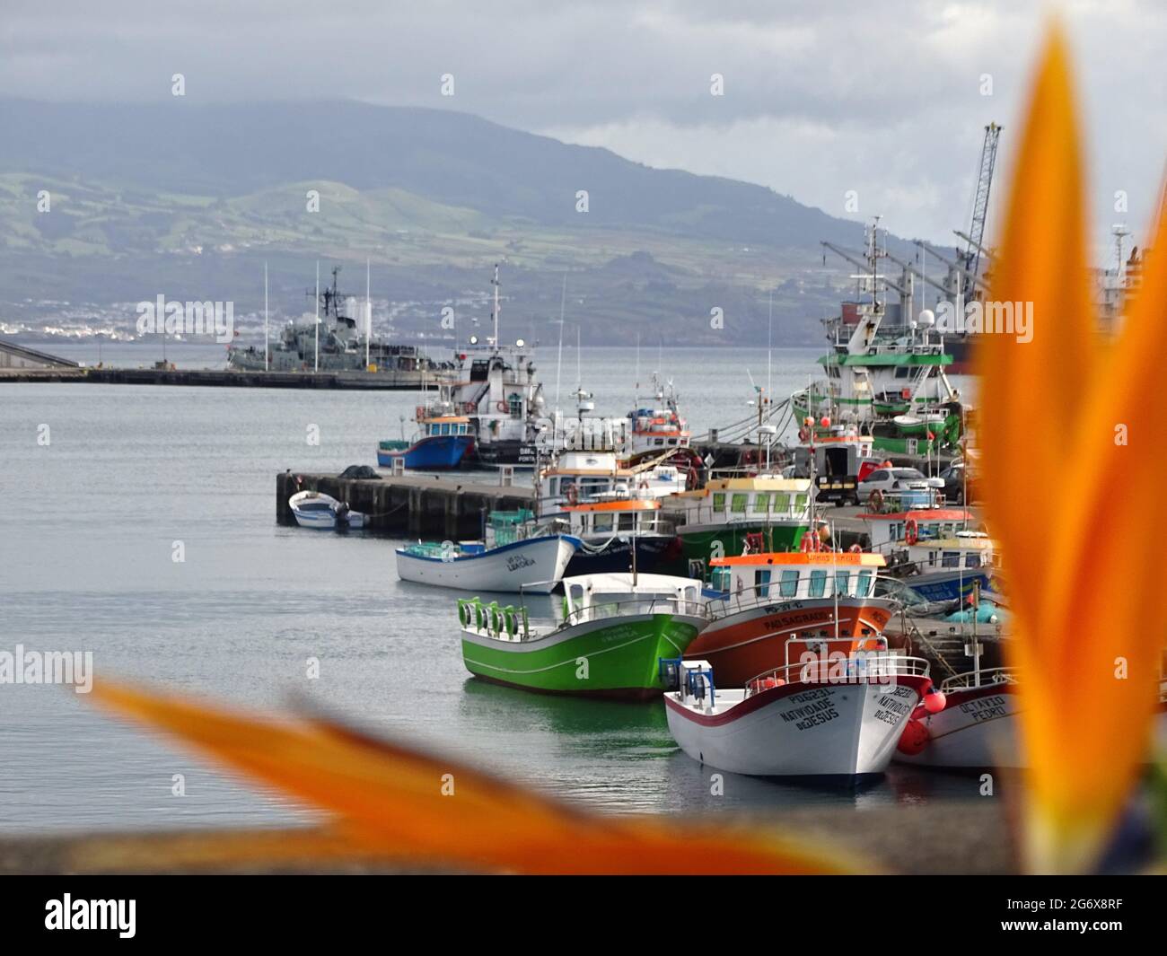 Harbor of Ponta Delgada capital city, Azores travel destination ...
