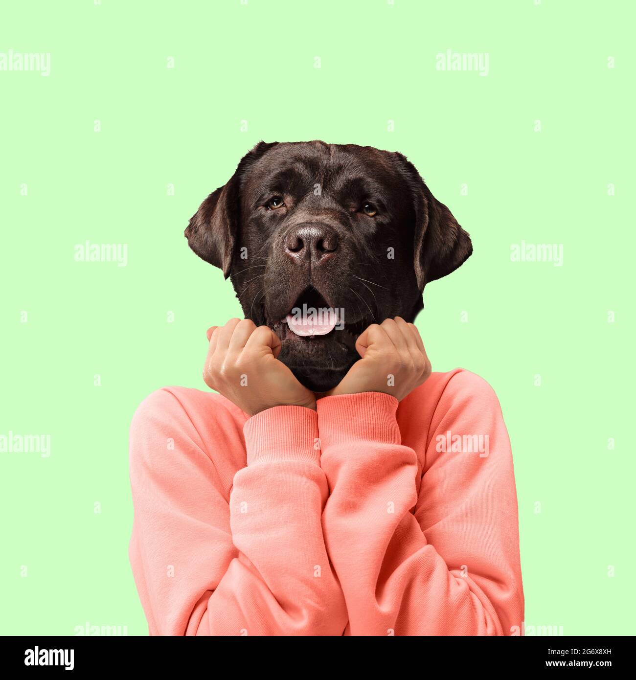 Contemporary artwork, conceptual collage. Woman headed by dog head ...